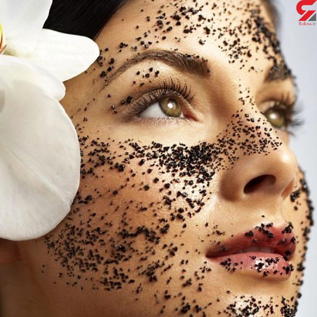 The Benefits of Black Tea Mask for Facial beauty – persian-tea-and-spice